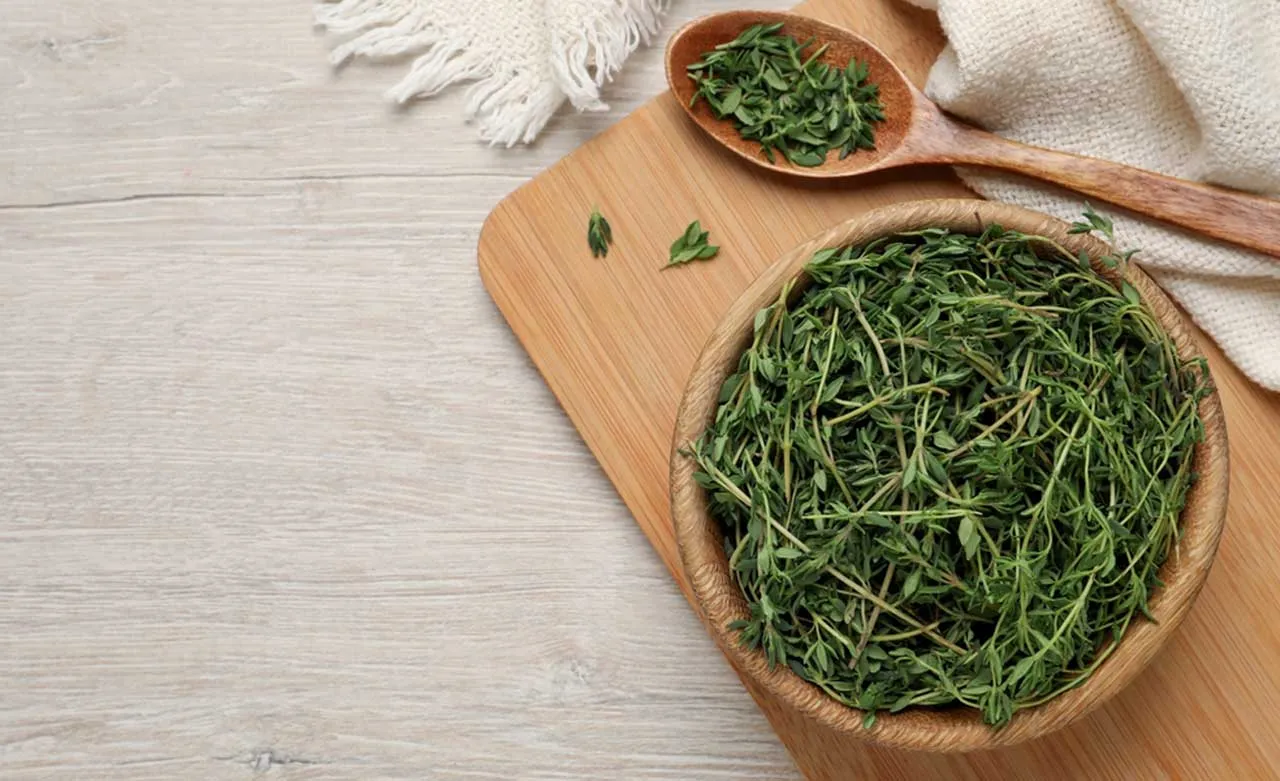 Thyme, a delicious and useful addition to your food